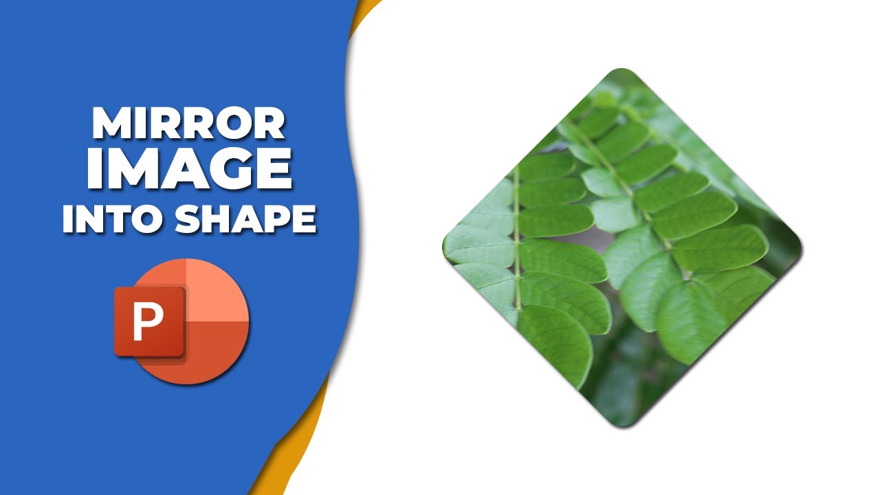 How to mirror an image into a shape in PowerPoint - YouTube
