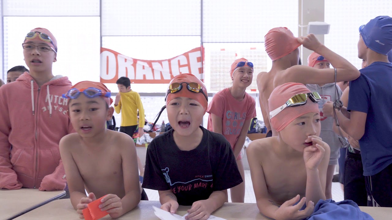 SWIM APEX ~ 19th Annual Swim Gala 2019 - YouTube