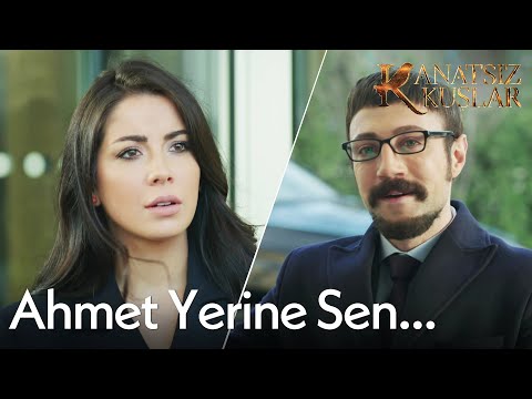 Kartal ve Zeynep yeniden karşı karşıya! - Kanatsız Kuşlar🕊🕊