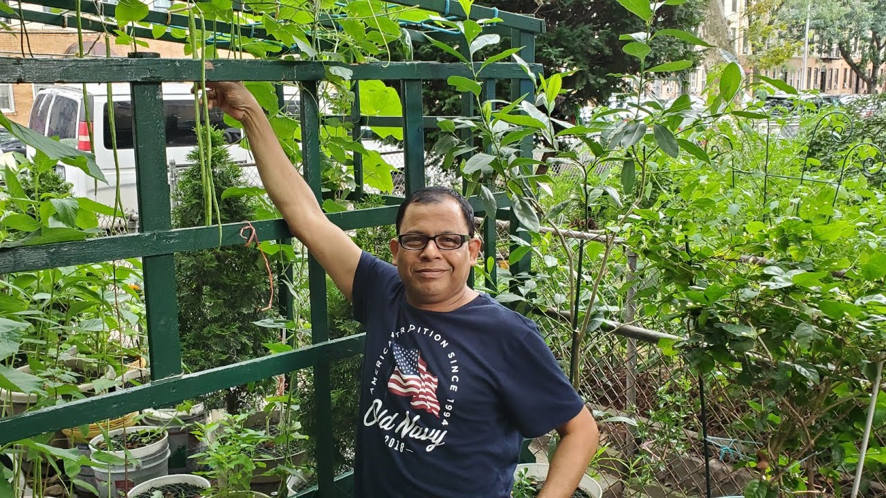 Garden Baba's Garden Tour - YouTube