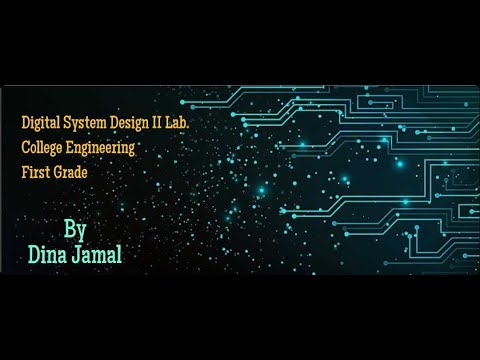 DSD II RS FLIP FLOP By Dina Jamal