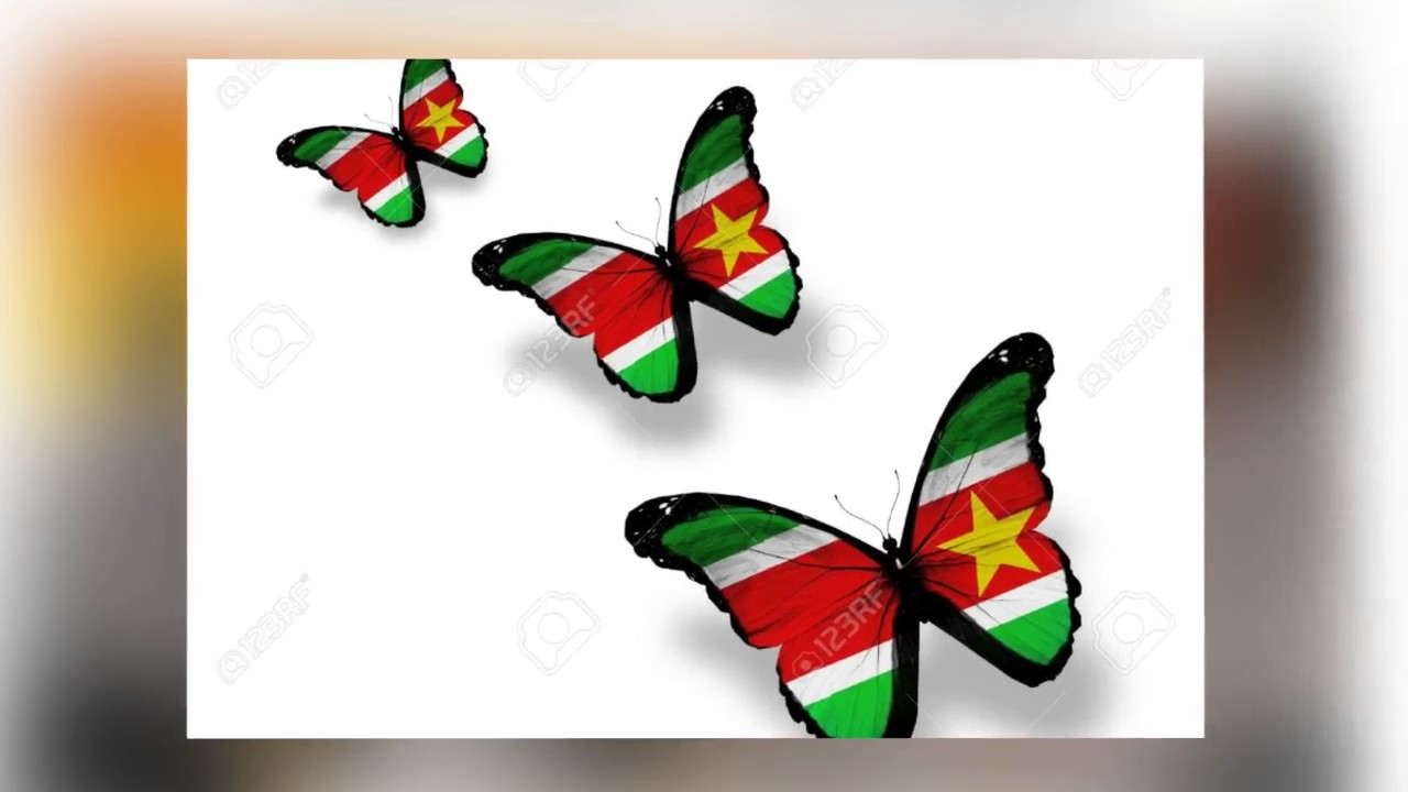 Wan Denki - Toko Toko (Suma Na Yu) - YouTube