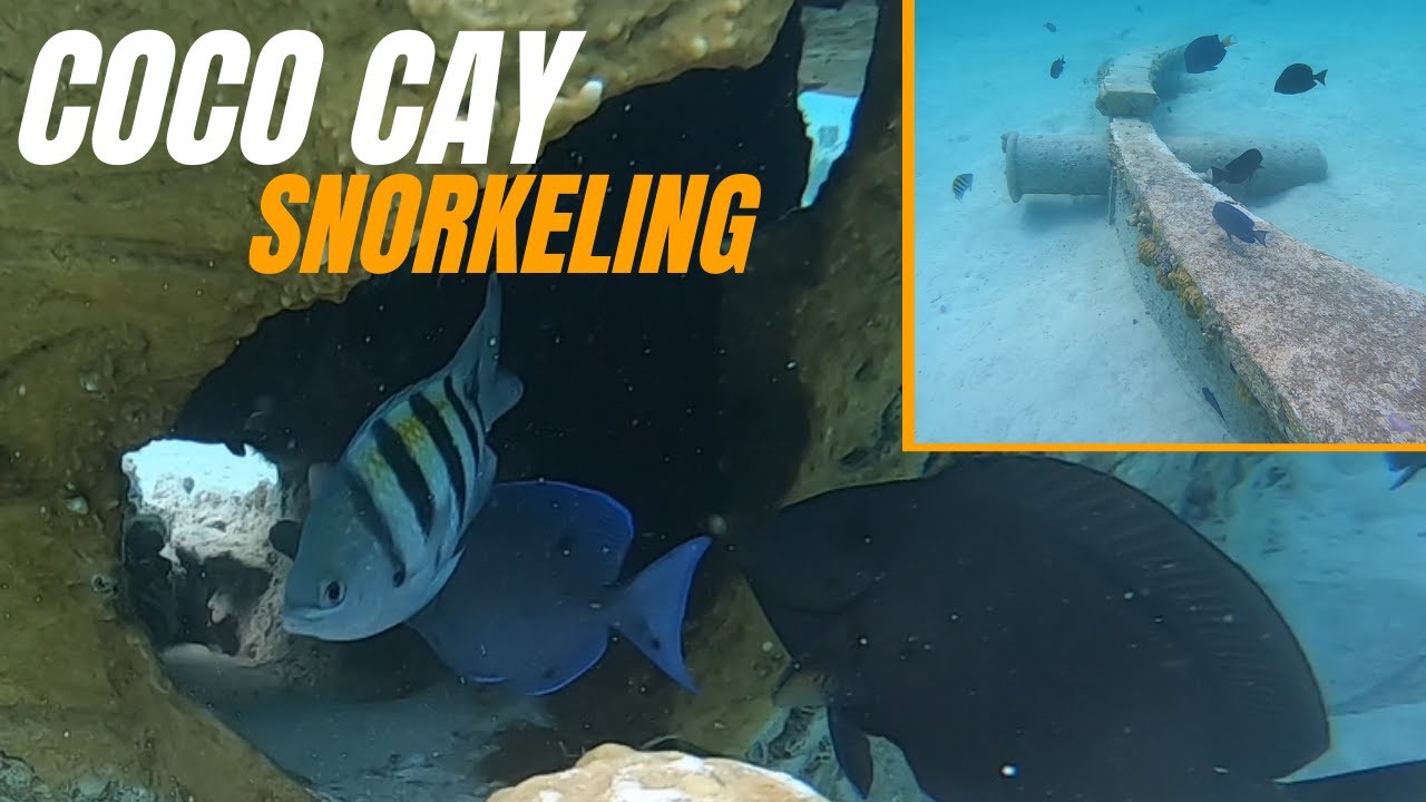 PERFECT DAY @ COCO CAY SNORKELING ~ Royal Caribbean's Harmony of the ...