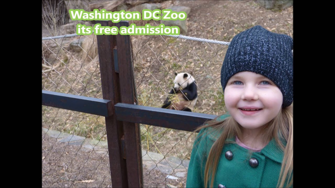 Washington D C Trip part 1, Big Bus Tours D C, Washington Zoo ...