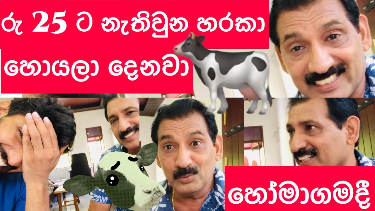 රුපියල් 25 ට නැතිවුන හරකා හොයාගන්න හැටි | TALK WITH SURAN - Sangeeth ...