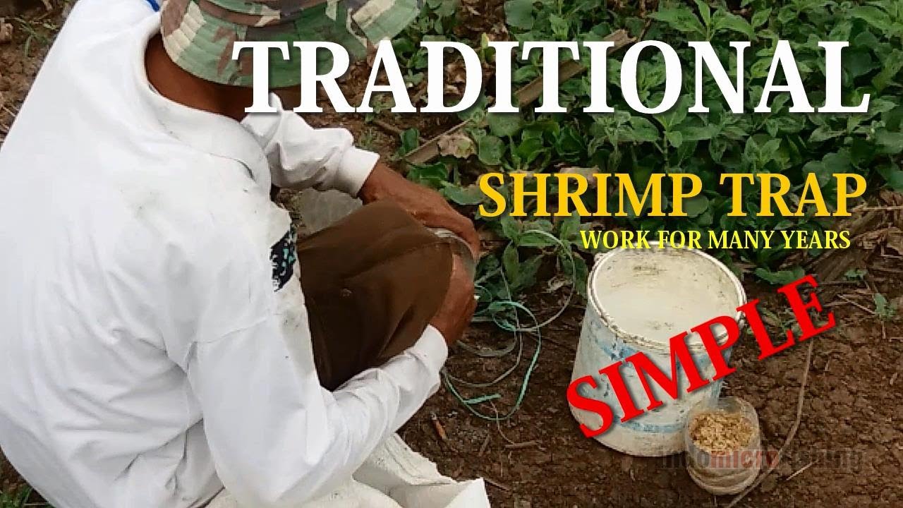 [DIY] EASY Traditional Shrimp trap in Indonesia, umpan hidup jitu untuk ...