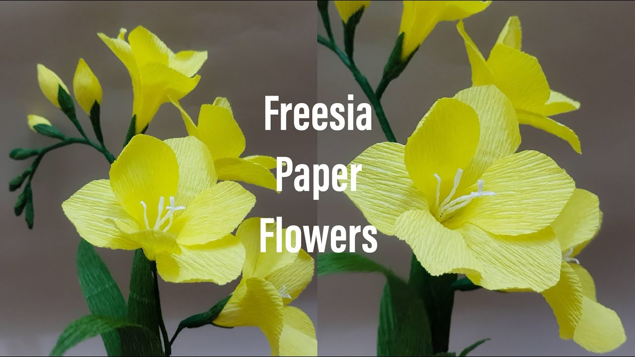 How To Make Freesia Paper Flower / Craft Tutorial / Làm Hoa Lan Nam Phi ...