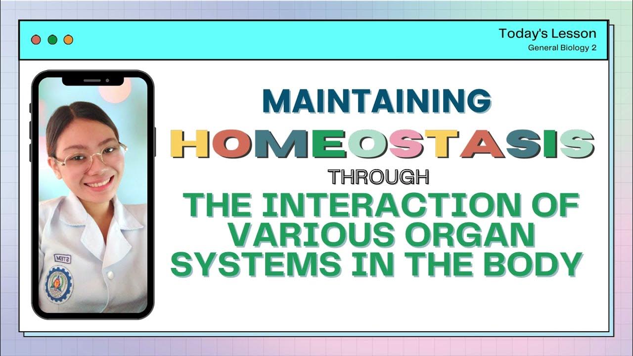 Maintaining Homeostasis through the Interaction of various Organ ...