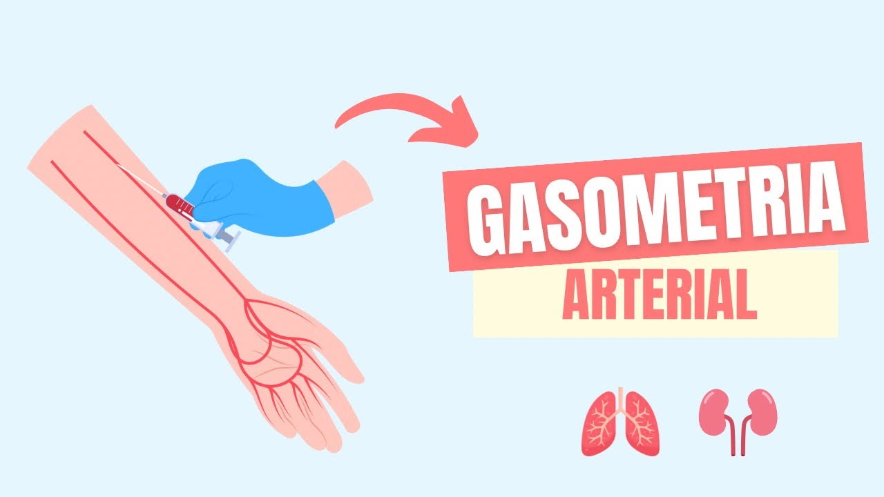 Aprenda GASOMETRIA arterial de forma FACILITADA | Fisiologia ...