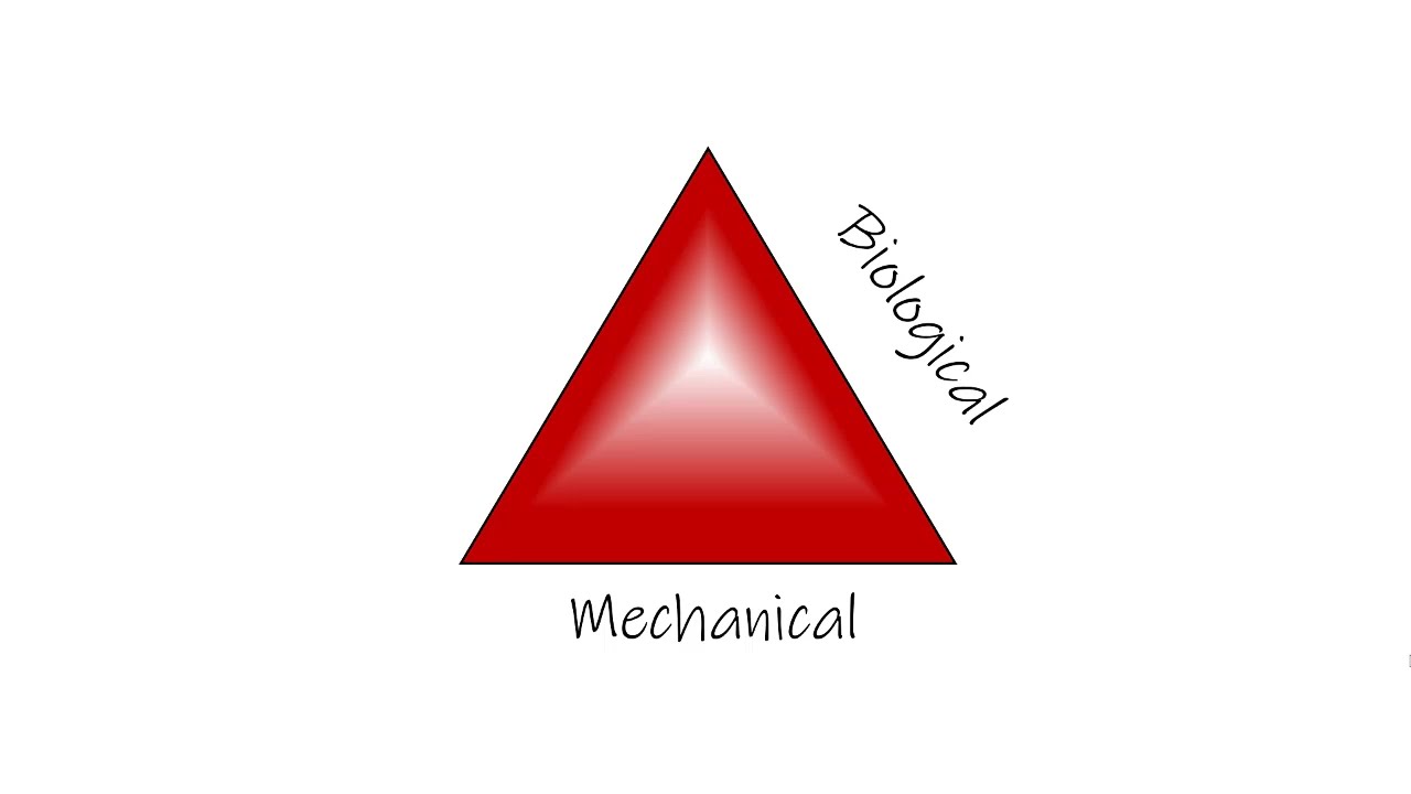 Introduction to Biomechanics - YouTube