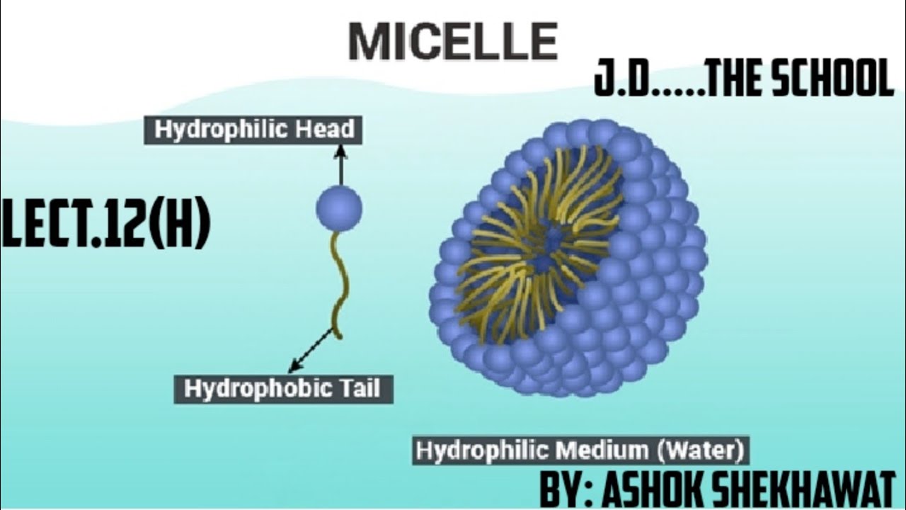 Micelle ::Micelle formation:: mechanism of cleaning action of soap ...