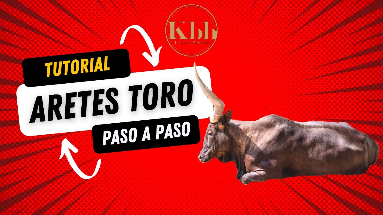 TORO TUTORIAL ARETES PASO A PASO - YouTube