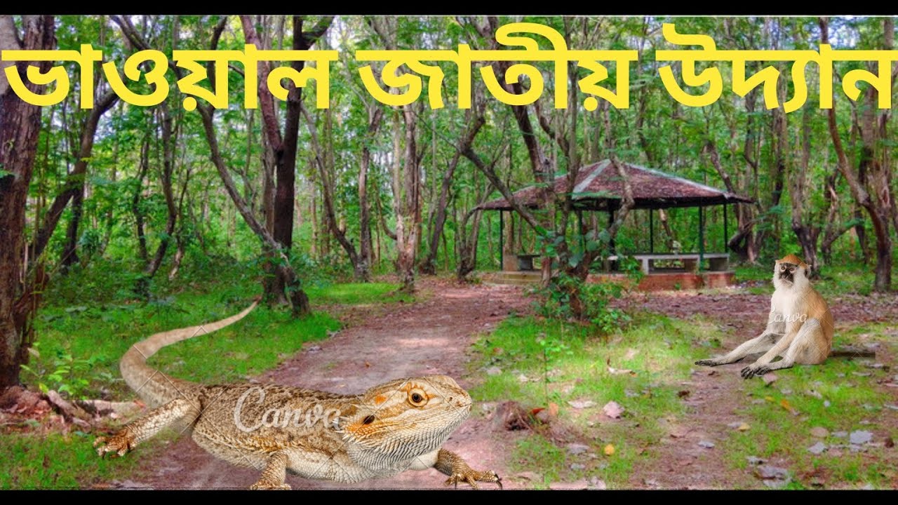 Bhawal National Park ভাওয়াল জাতীয় উদ্যান গাজীপুর - YouTube