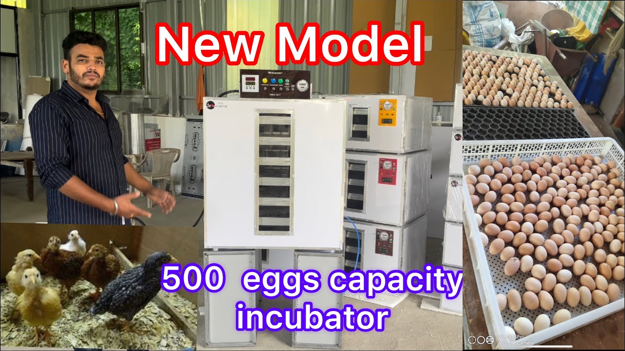 New 500 capacity eggs incubator with setter and hatcher | machine ...