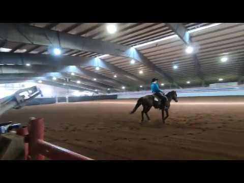 2019 VRH/AQHA Ranch Reining - YouTube