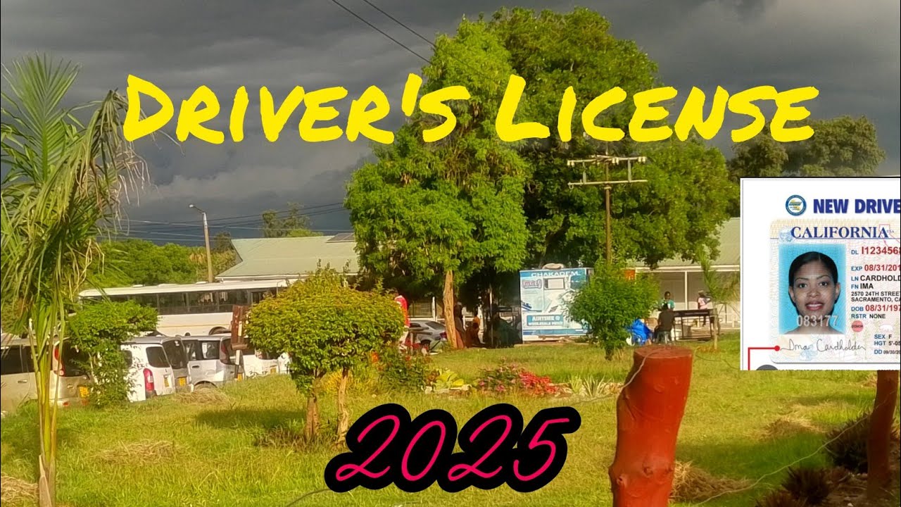 Driver's License, 2025 Latest Official Video - YouTube