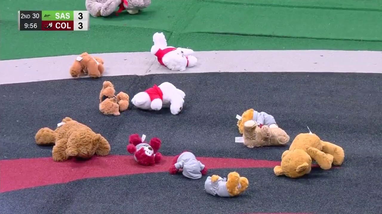 Teddy Bears fly in Colorado as Wardle scores - YouTube