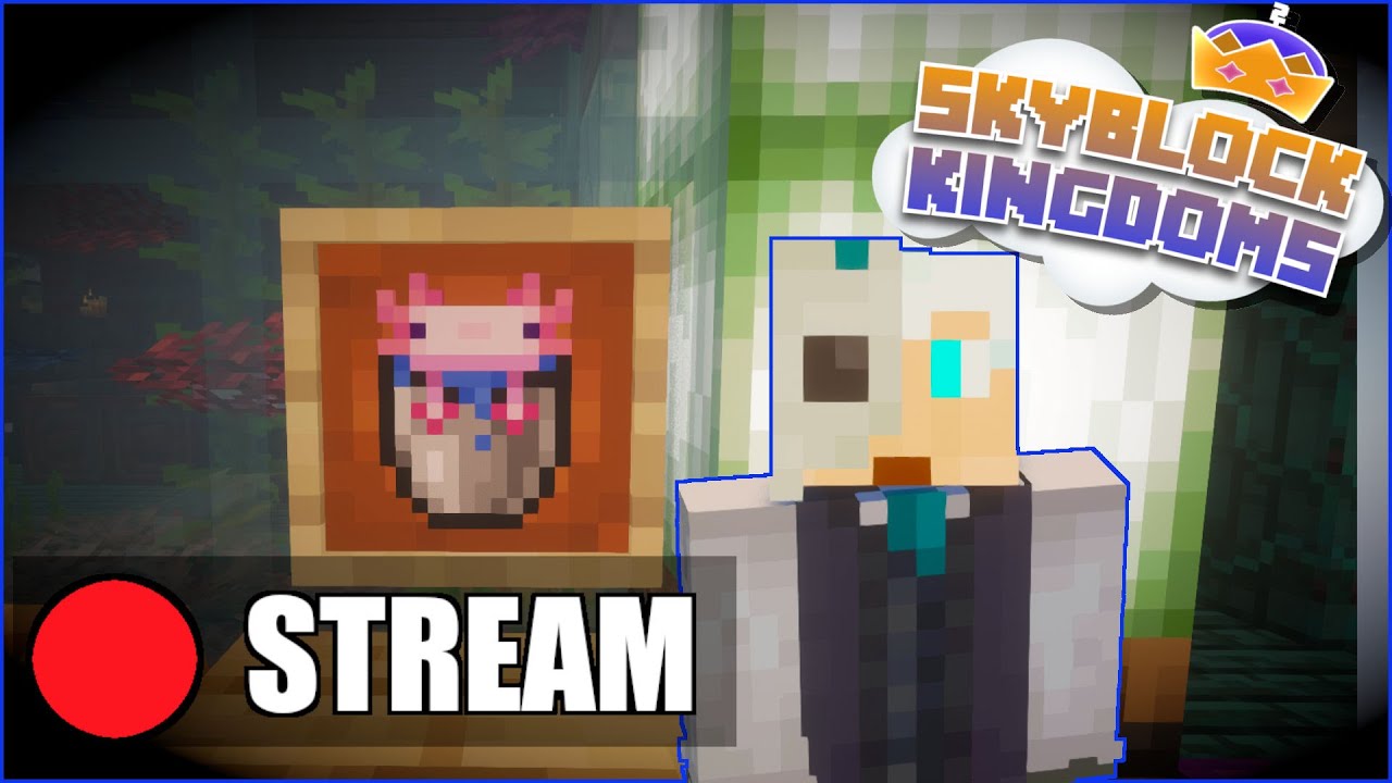 The Best Thing Ever! on Skyblock Kingdoms SMP | English/Gaeilge - YouTube