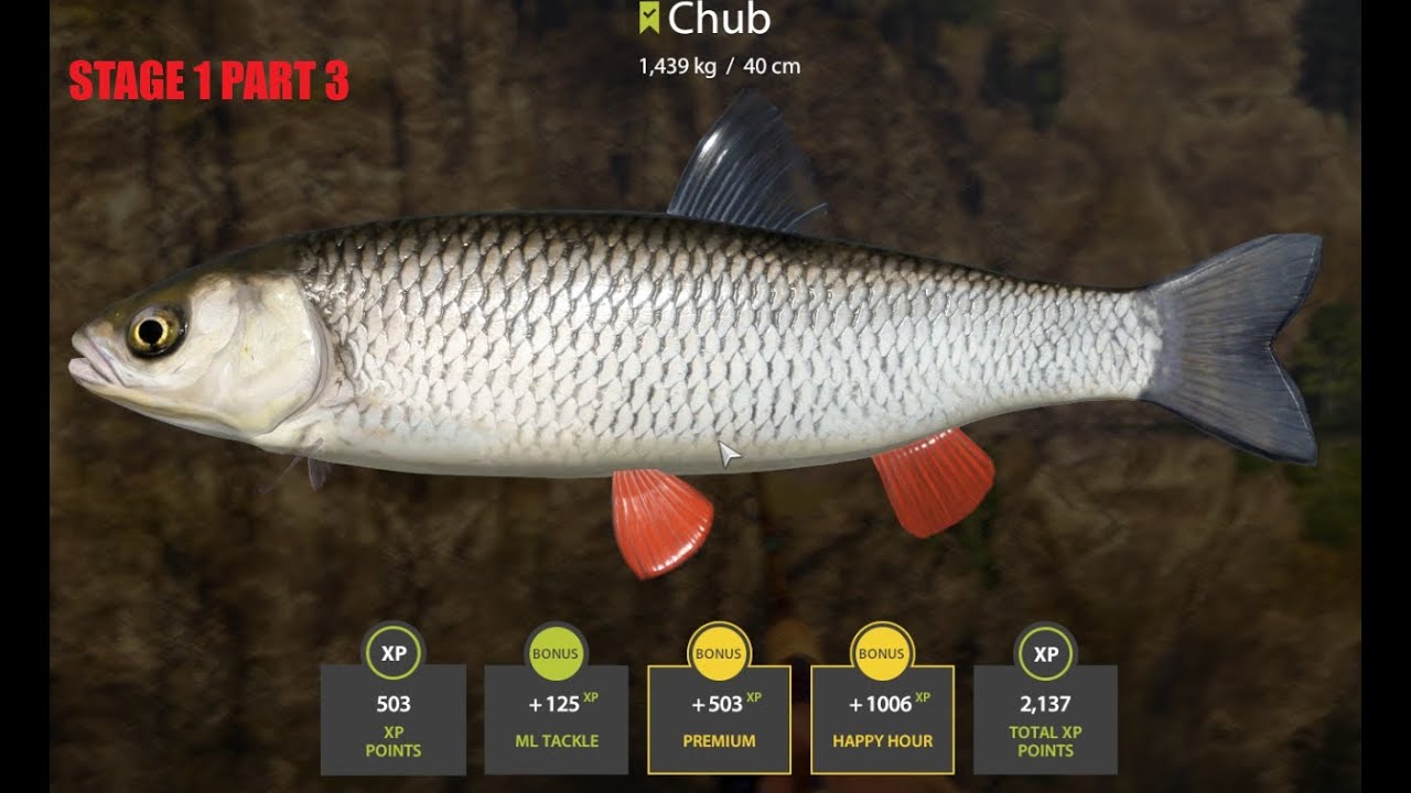 RF4 7th Anniversary stage 1 part 3 - YouTube