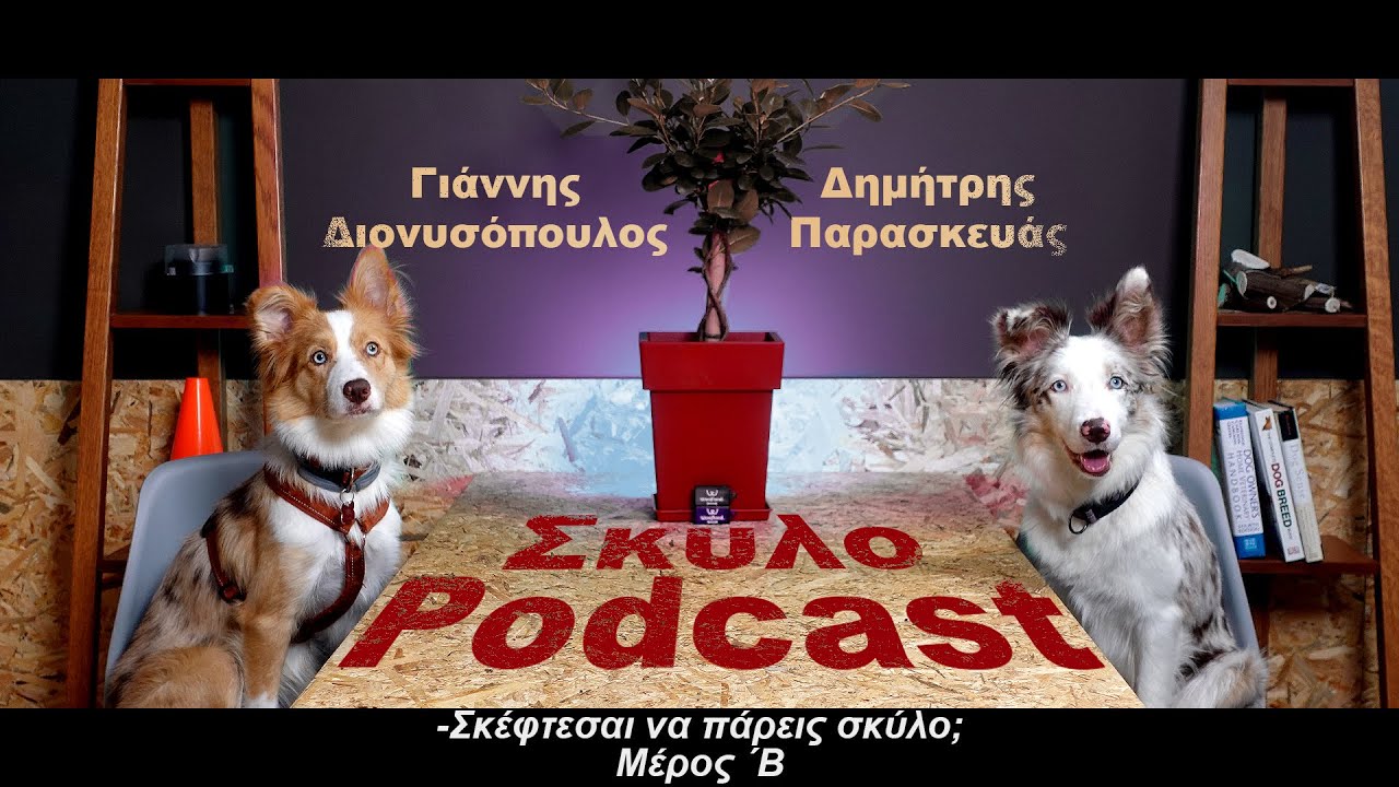 Σκέφτεσαι να πάρεις σκύλο Μέρος Β΄ | ΣκυλοPodcast 3 - YouTube