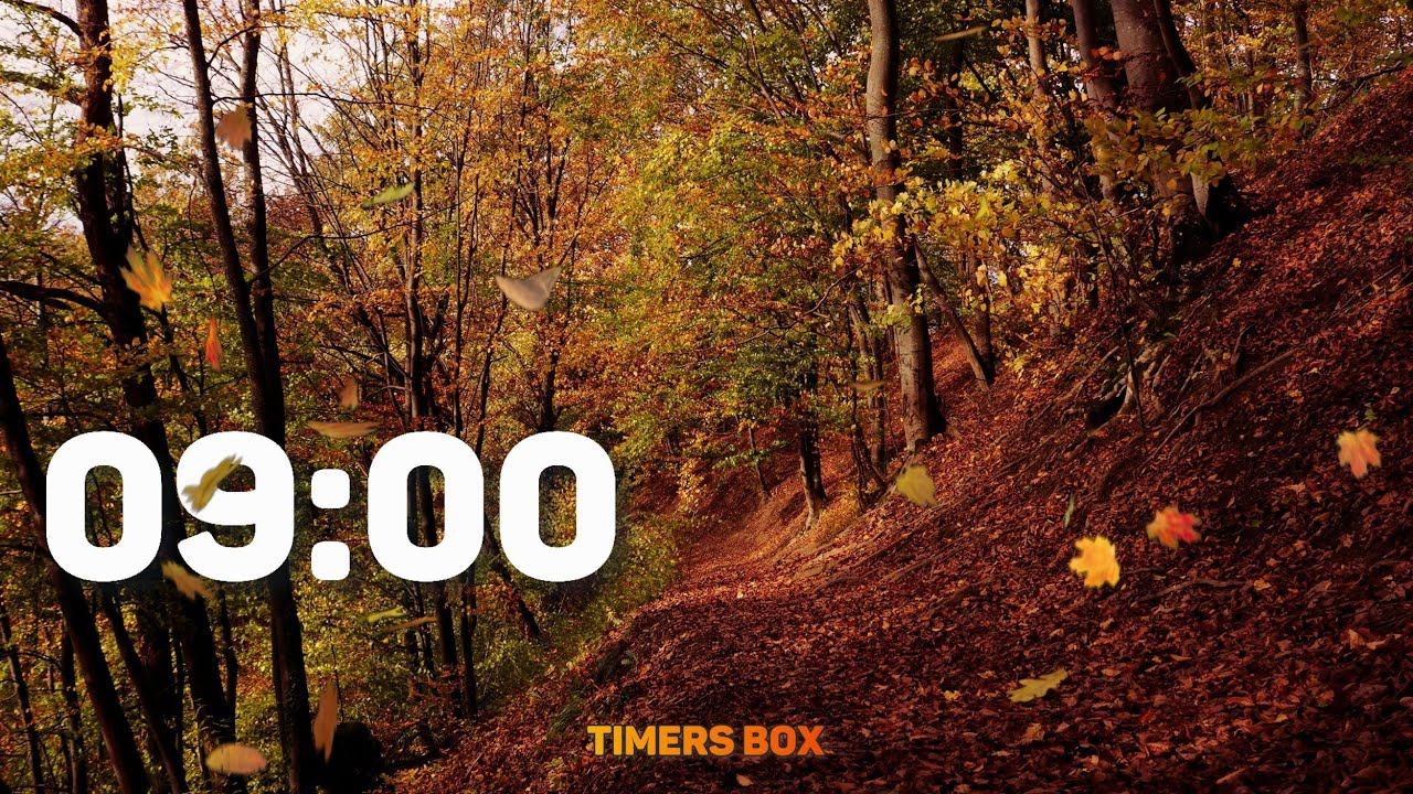 🍁🌲 Countdown to Success! 9 Minute Autumn Forest Timer with Alarm for Focus & Productivity ⏰ ...