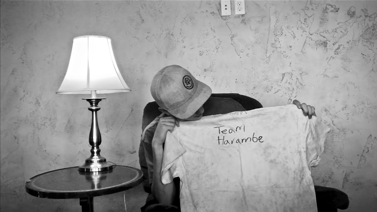 Remember Harambe - YouTube