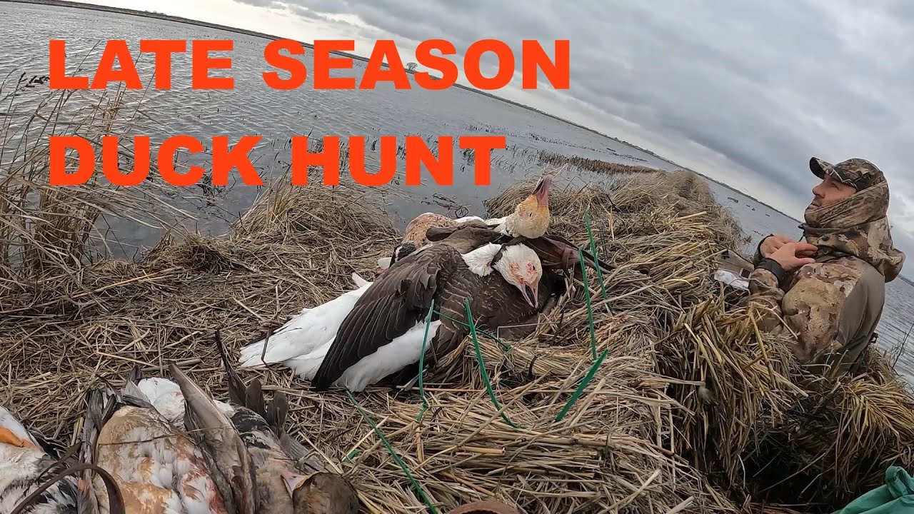 California Duck Hunting Waterfowl Hunts SoCalOutfitters.com