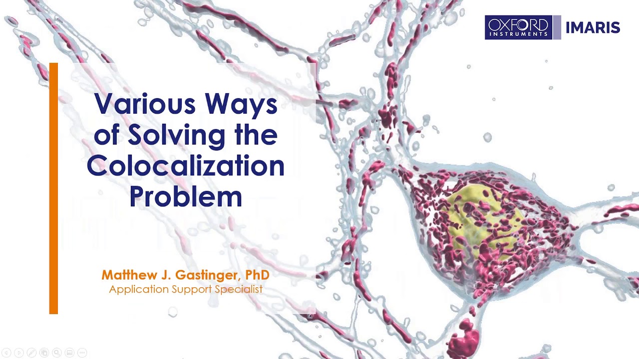Lesson 10 - Various Ways of Solving the Colocalization Problem - YouTube
