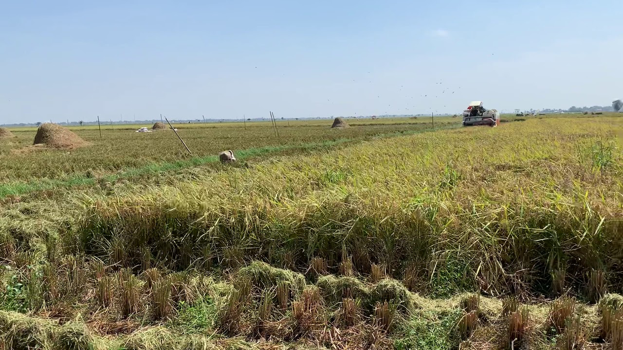 Combine bimo extreme - YouTube