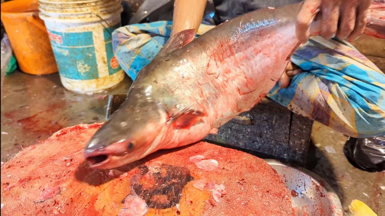 Big Pangas / Jasar Fish Cutting Kolkata #fishcutting #fishing #fish # ...