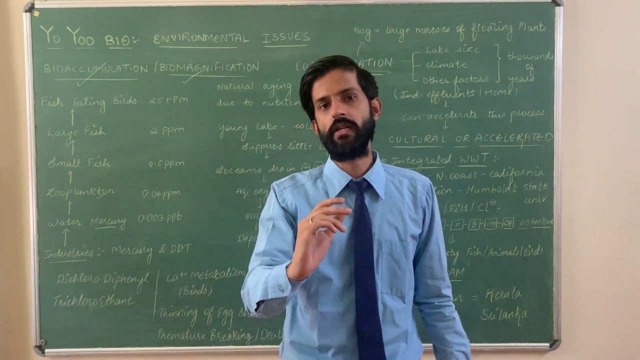Environmental issues | Biomagnification | Eutrophication | Lecture 4 ...