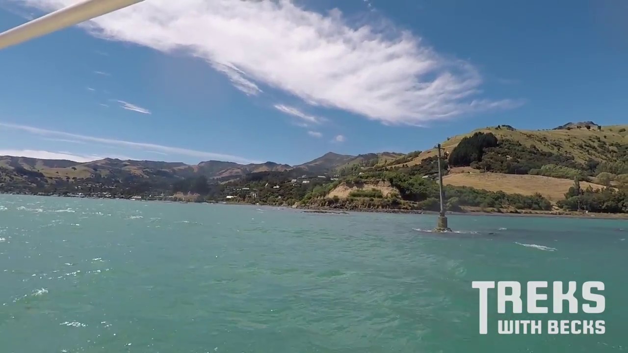 Visit Akaroa - Day trip from Christchurch | Sailing Akaroa Harbour ...