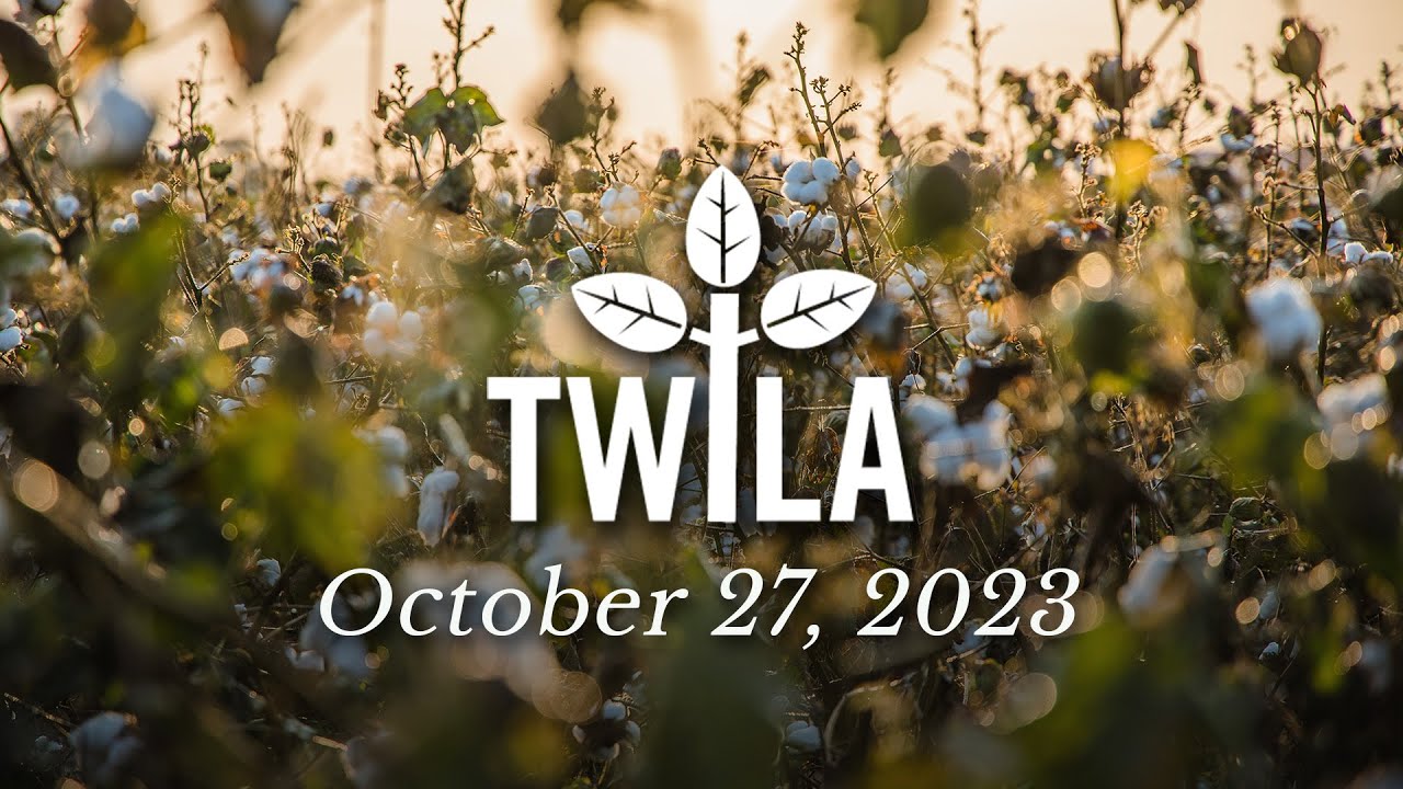TWILA – October 27, 2023 - YouTube