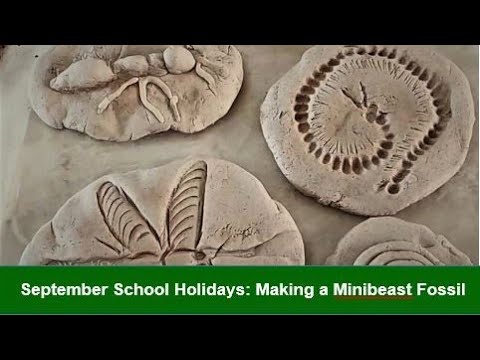 September School Holidays: Making a Minibeast Fossil - YouTube