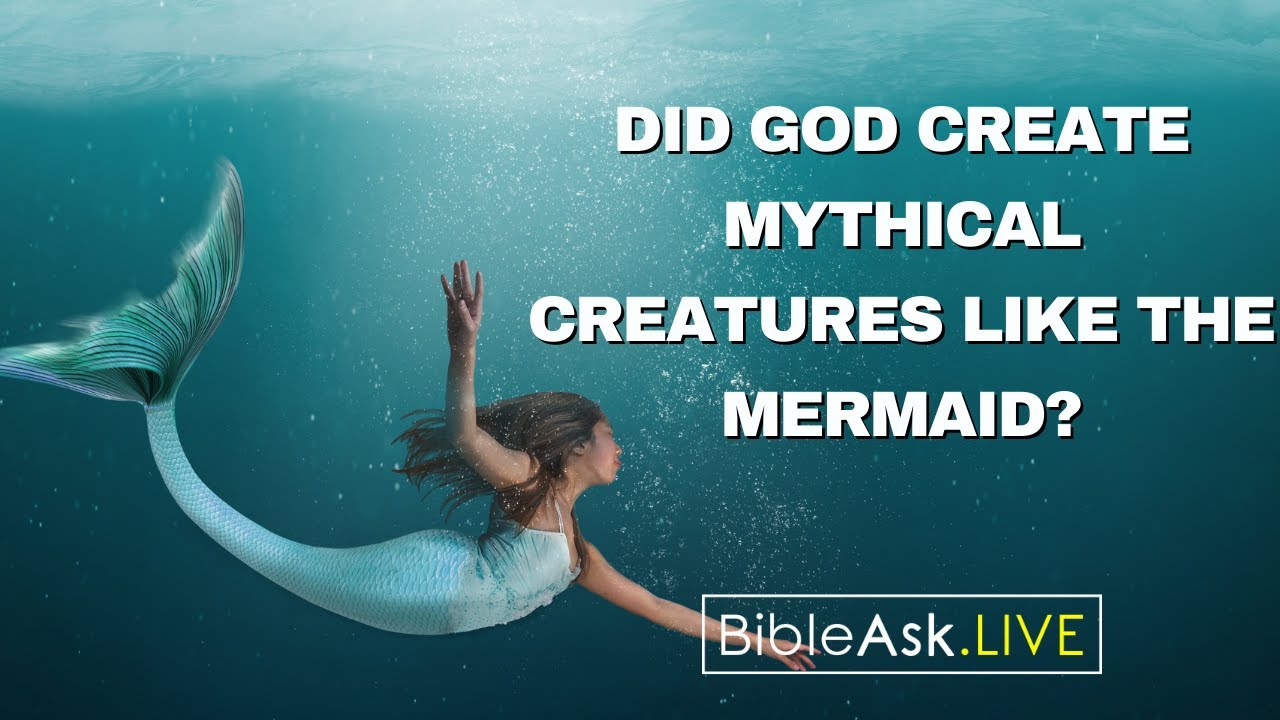 Fish That Looks Like A Mermaid