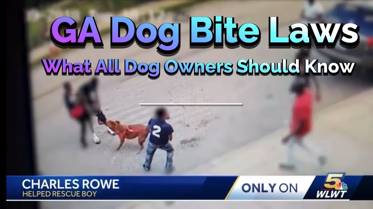 Georgia Law For Dog Bites - YouTube