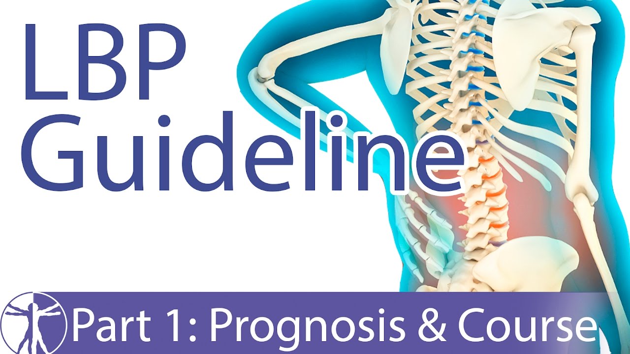 Low Back Pain Guideline: Prognosis & Course (Part 1) - YouTube