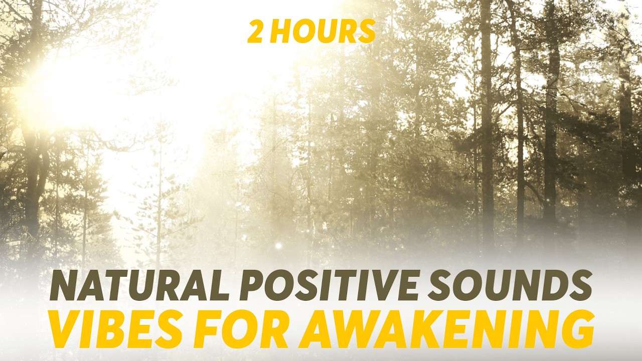 Morning Vibes for Awakening | Nature Relaxing Sounds | Sounds for ...