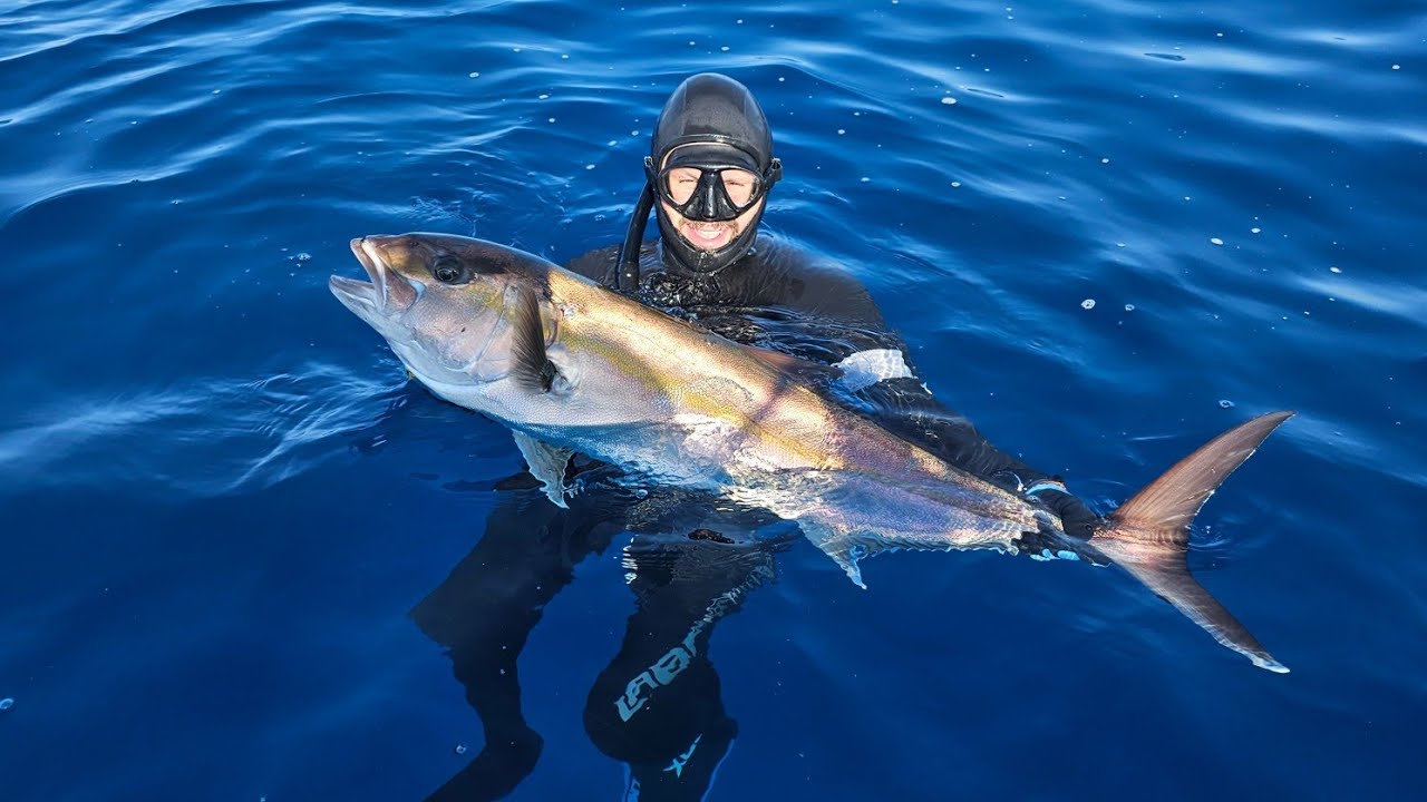 CANLI YAYINDA MUHTESEM AKYA BALIGI (spearfishing amberjack) - YouTube