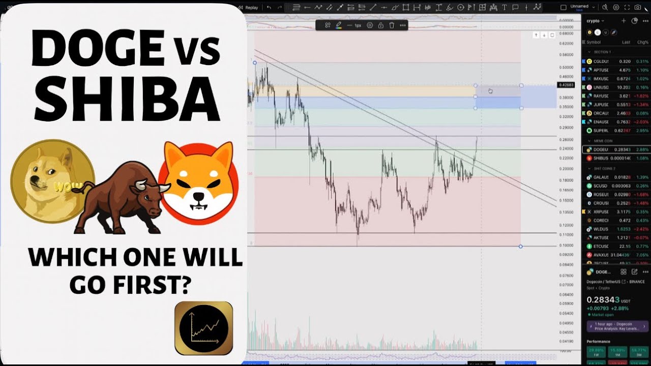 DOGE vs SHIB – Which Meme Coin Breaks Out First? 🚀 - YouTube