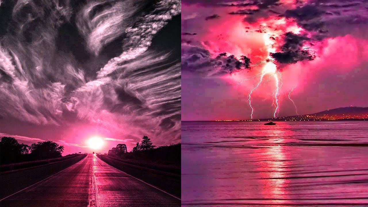 Spectacular Pink Nature - YouTube