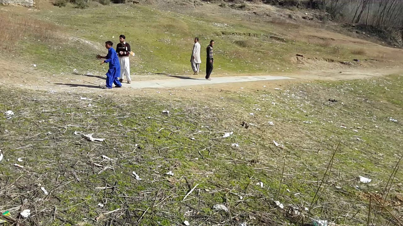 tanes cricket - YouTube