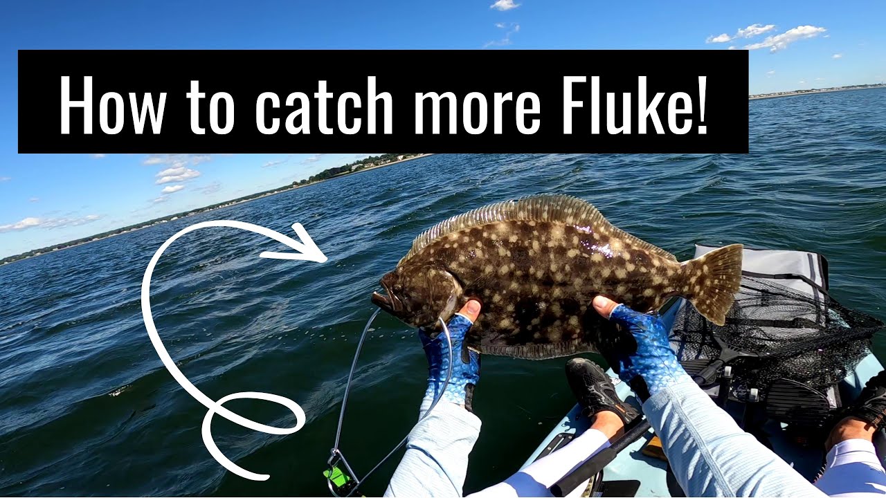 Fluke Fishing in Long Island Sound (Surprise Catch!) - YouTube