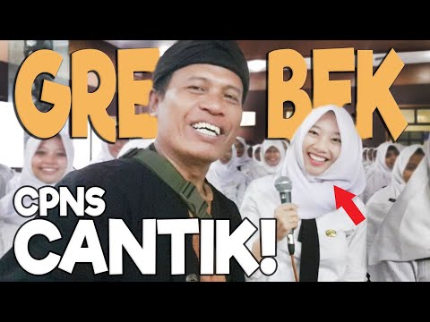Grebek CPNS Cantik