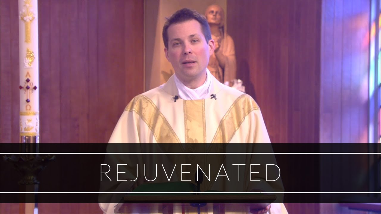 Rejuvenated | Homily: Father Thomas Macdonald - YouTube