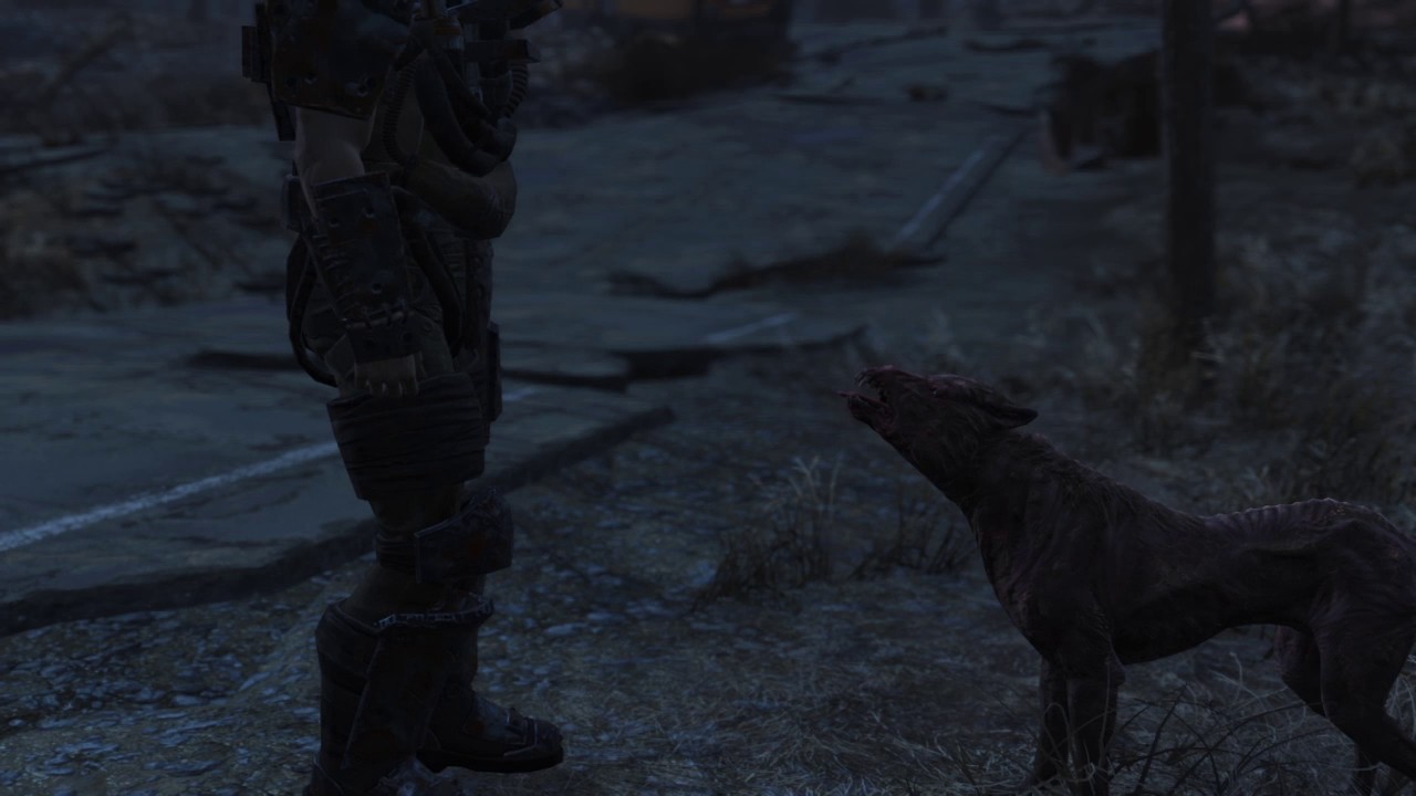 How to train a wounded dog as a pet in fallout 4 - YouTube