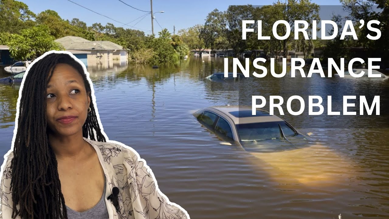 Florida’s Insurance Problem: Looming Unaffordability Risk to Cities ...