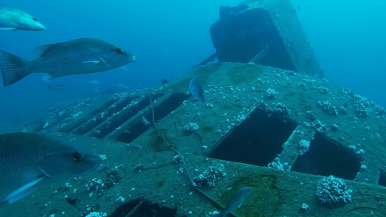 Diving the Texas Clipper - YouTube
