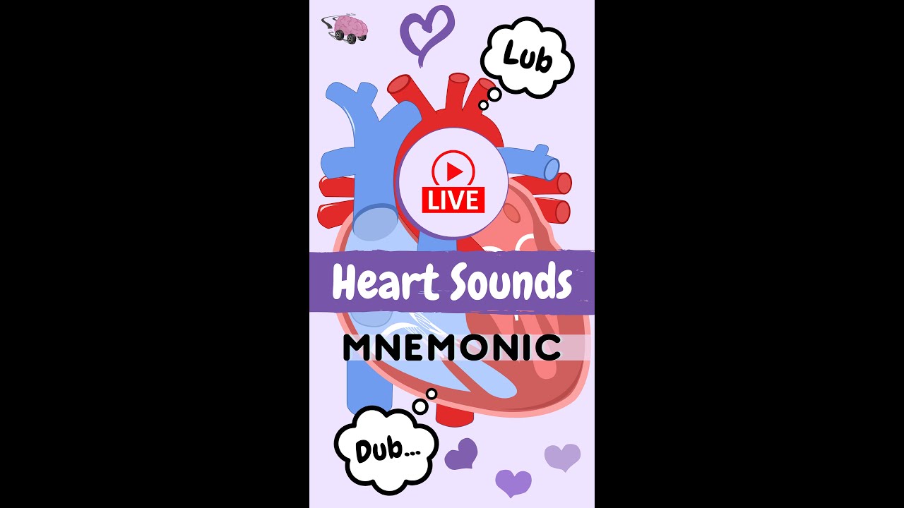 Heart sounds and mnemonics for valve closures 🫀 - YouTube