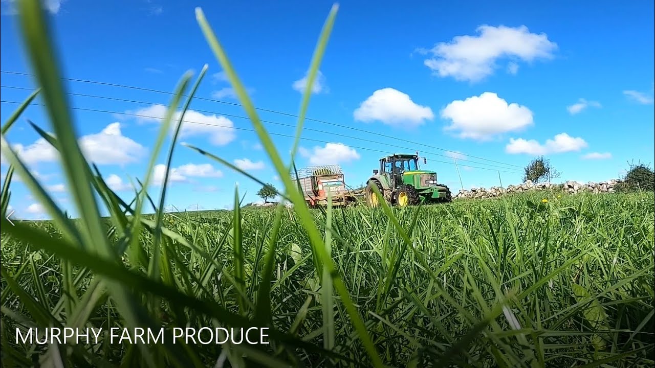 MURPHY FARM PRODUCE - YouTube